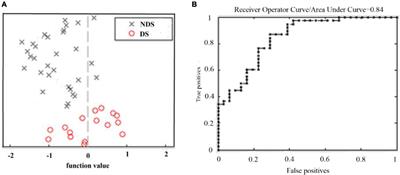 Frontiers | Using support vector machine to explore the difference of function connection ...